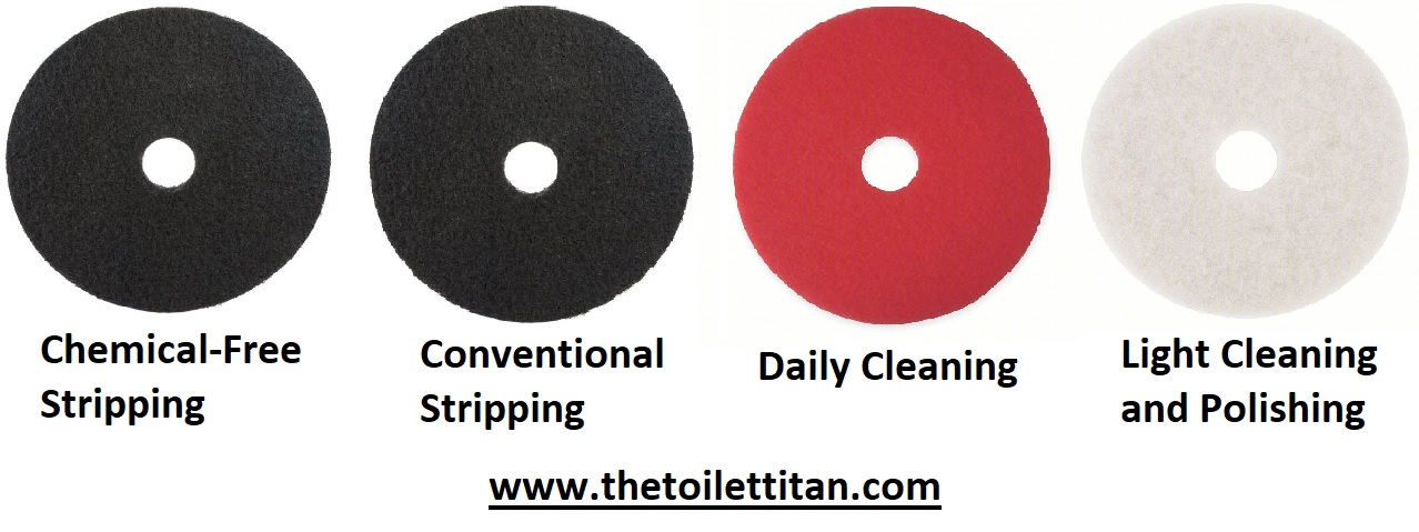 Q&A | The Toilet Titan